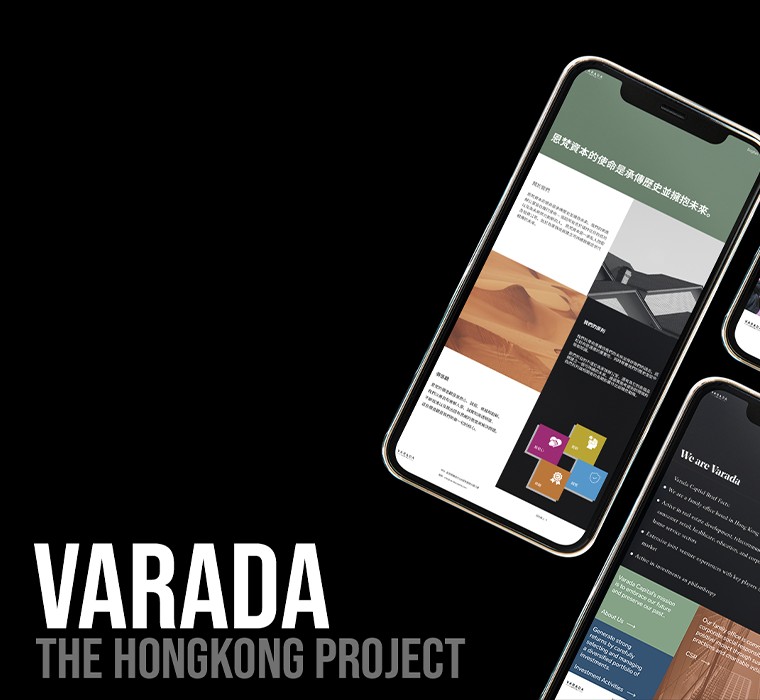 Web Development – AXRA TECH